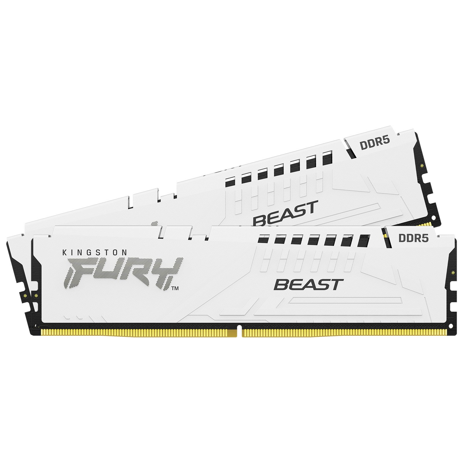 Kingston FURY Beast 32GB DDR5 Desktop Memory Kit in White, 2 x 16GB ...